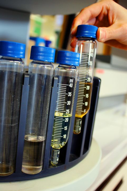 CELABOR centre de services scientifiques et techniques : Agro ...